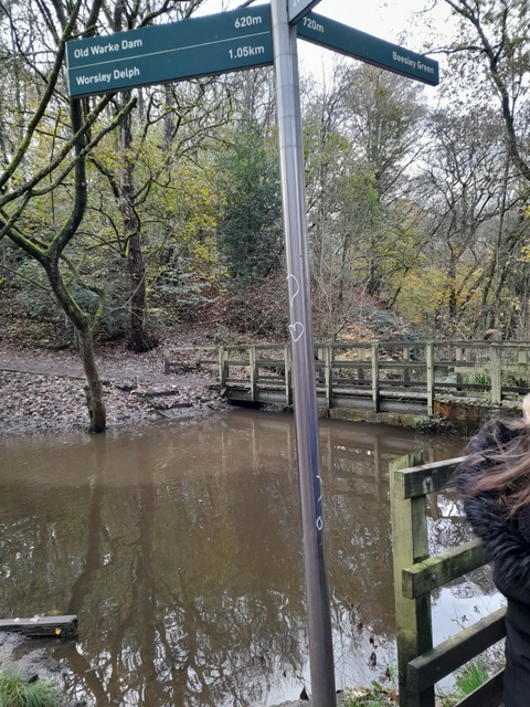 Meaningful meandering through Worsley Woods… – Bridgewater School ...
