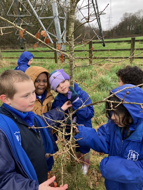 Prep II Forest School activities – Bridgewater School – Prep. Department