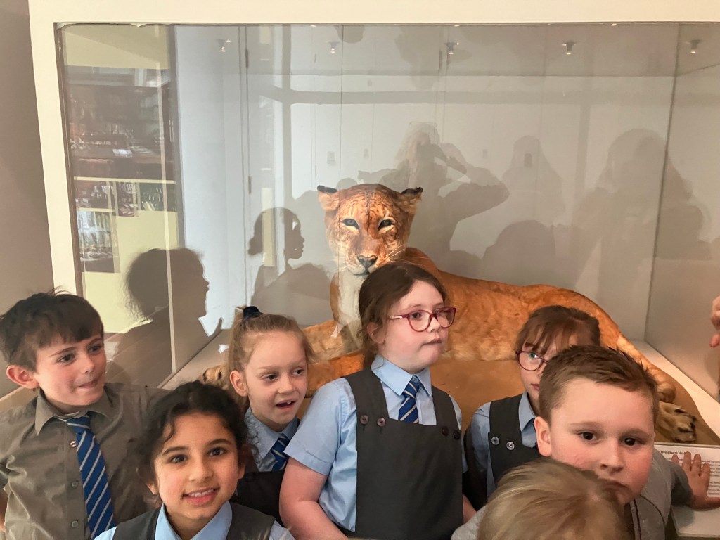Prep II’s Wonderful Day at The Manchester Museum! – Bridgewater School ...